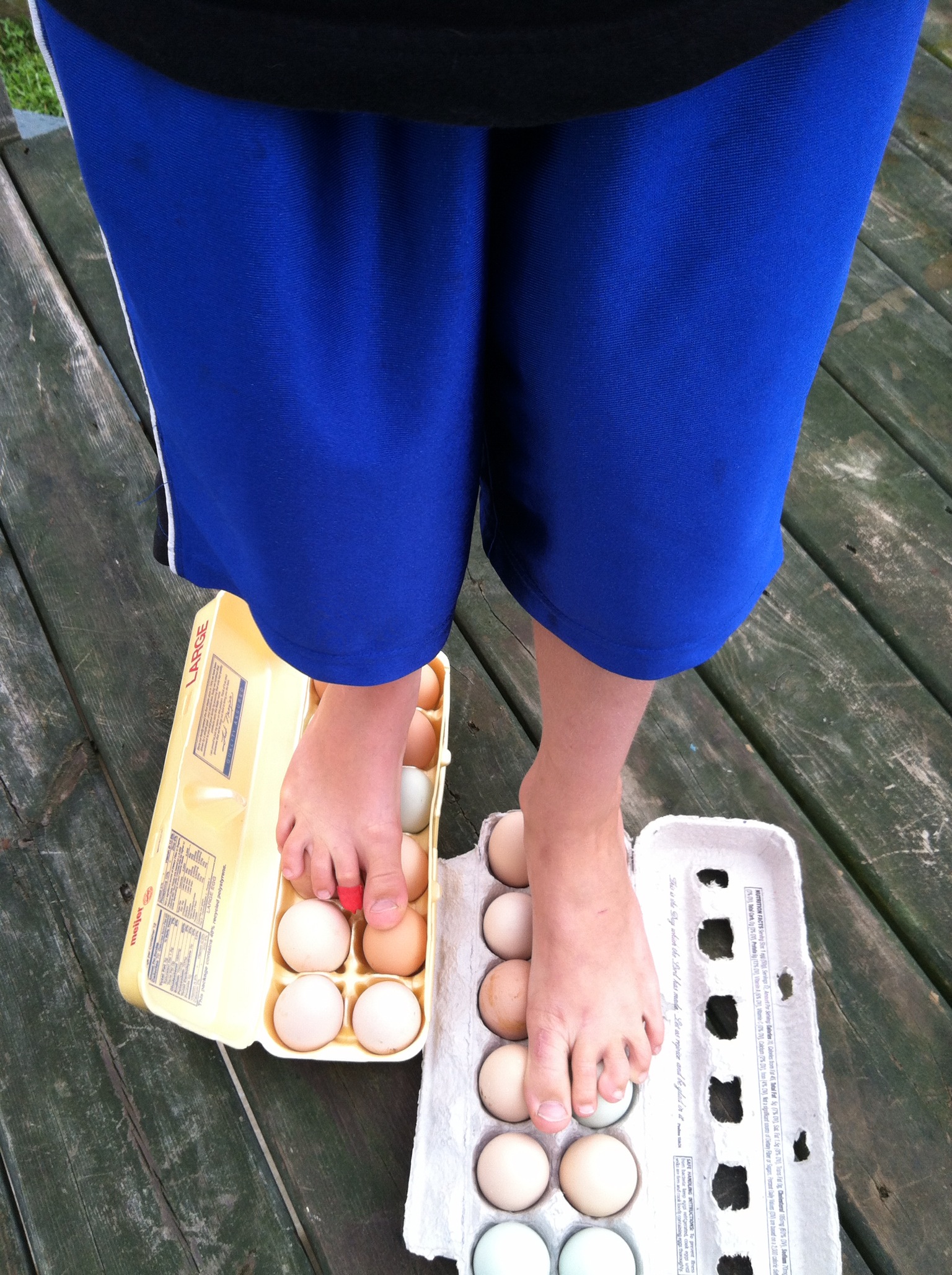 Egg Walk Experiment - Green Kid Crafts